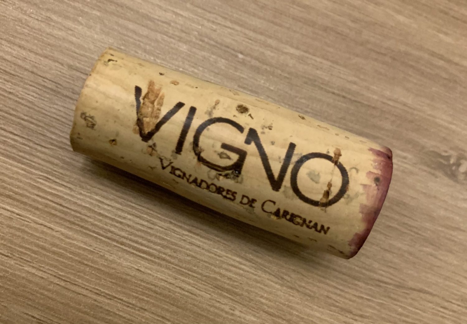 Você conhece o VIGNO e a Carignan no Chile? - Vinhos com Fernando Lima